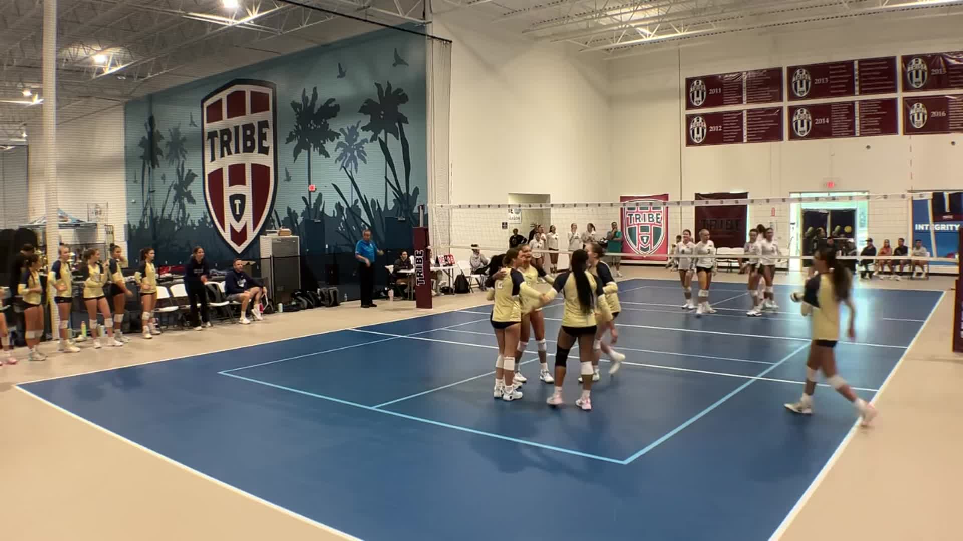 2025 Tribe HS Tourney Serve/Receive - Destiny Wiggins highlights - Hudl