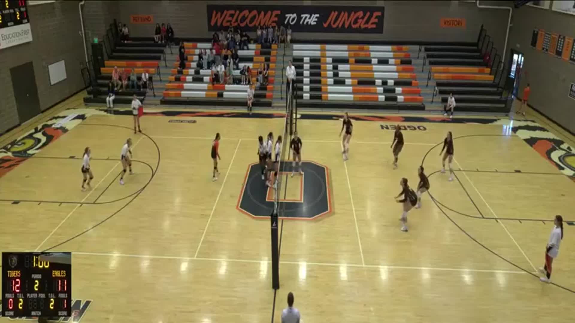 Cachel highlight - Luiza Araujo highlights - Hudl